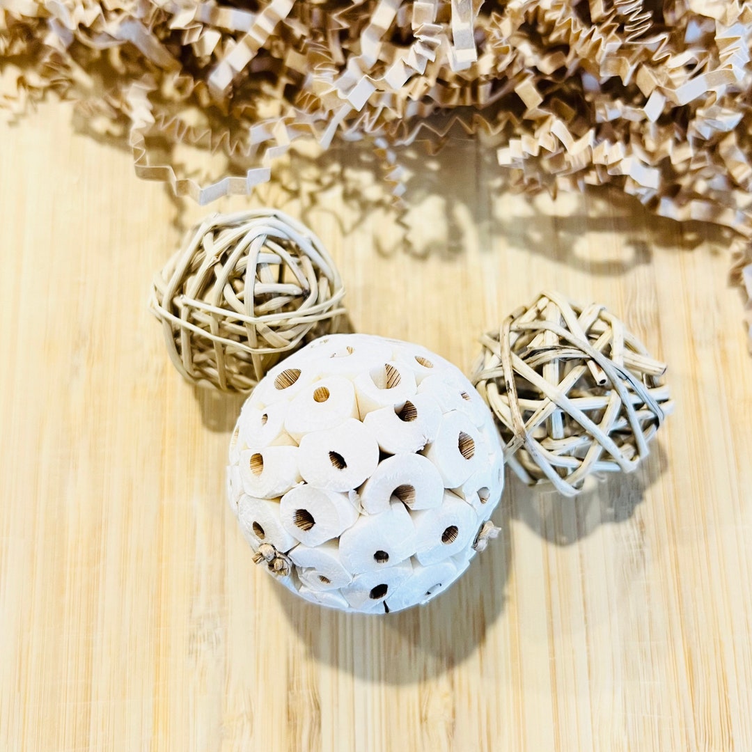Mickey Foot Toy - Shredding and Foraging Toy for Small Birds - Etsy