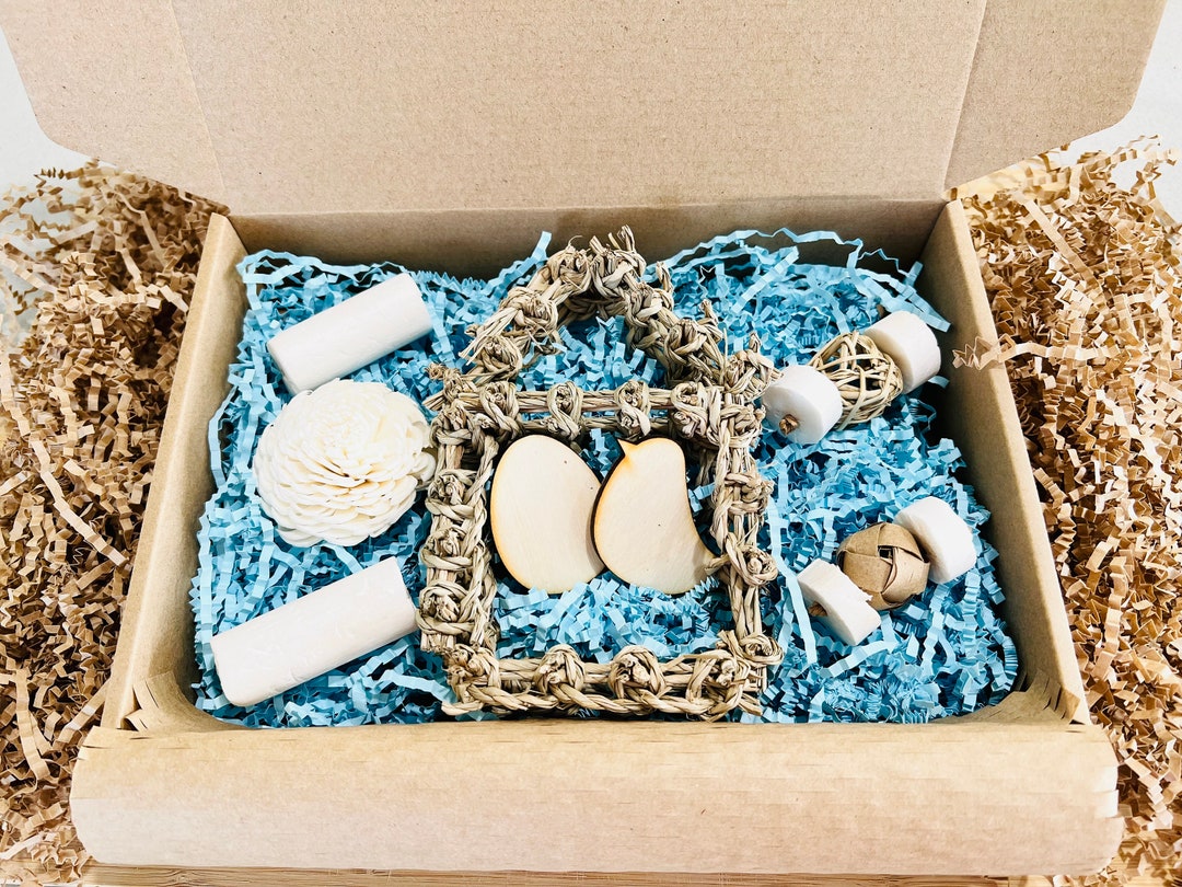 Feathered Baby Bird Toy and Forage Box for Parrots - Etsy