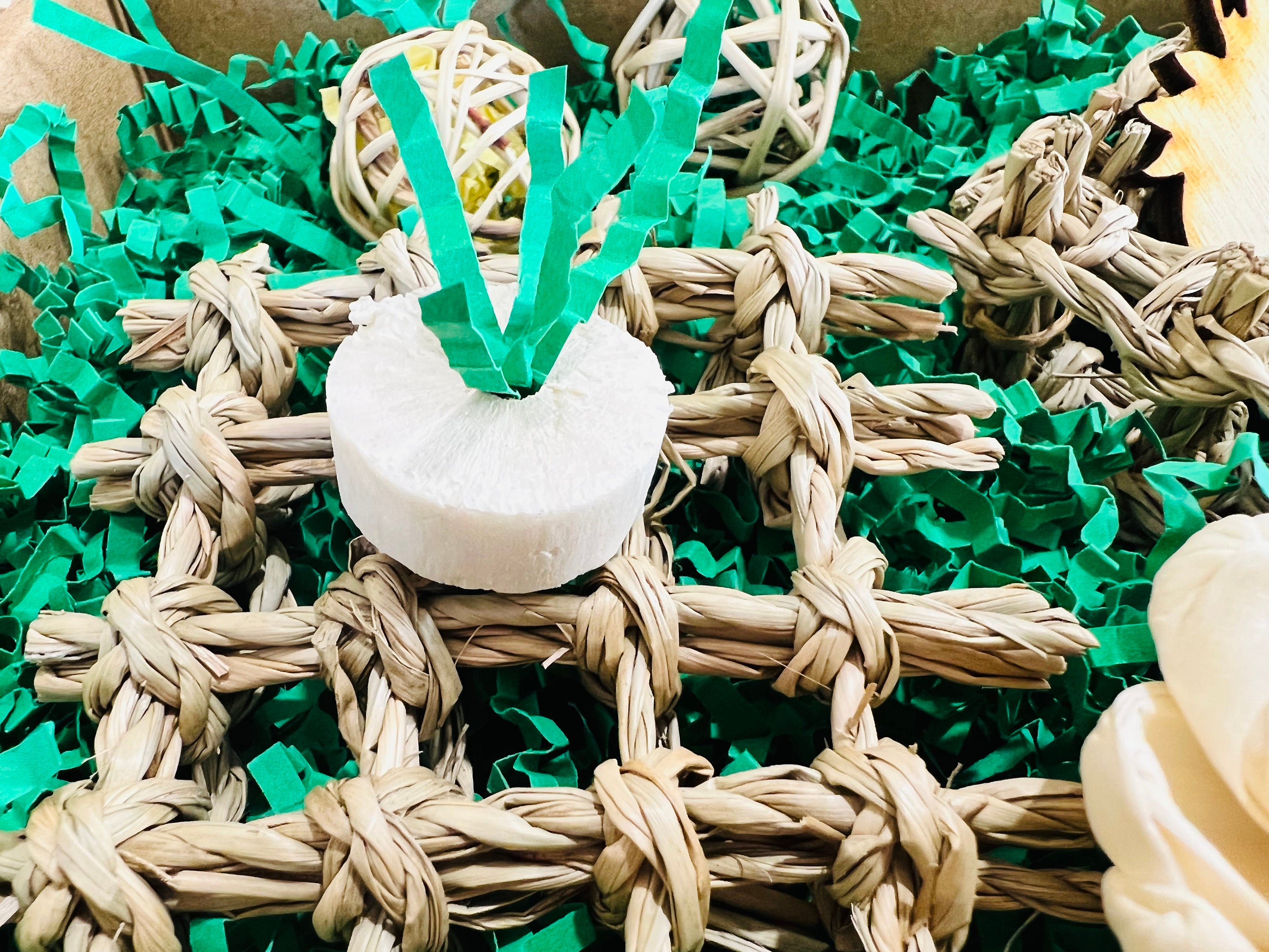 Garden Patch Bird Toy and Foraging Box for Parrots - Etsy