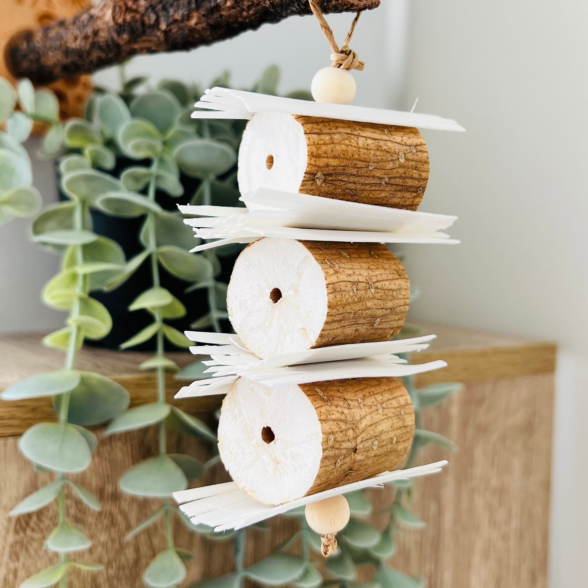 Crispy Sola Munchies - Shredding and Chewing Bird Toy - Etsy