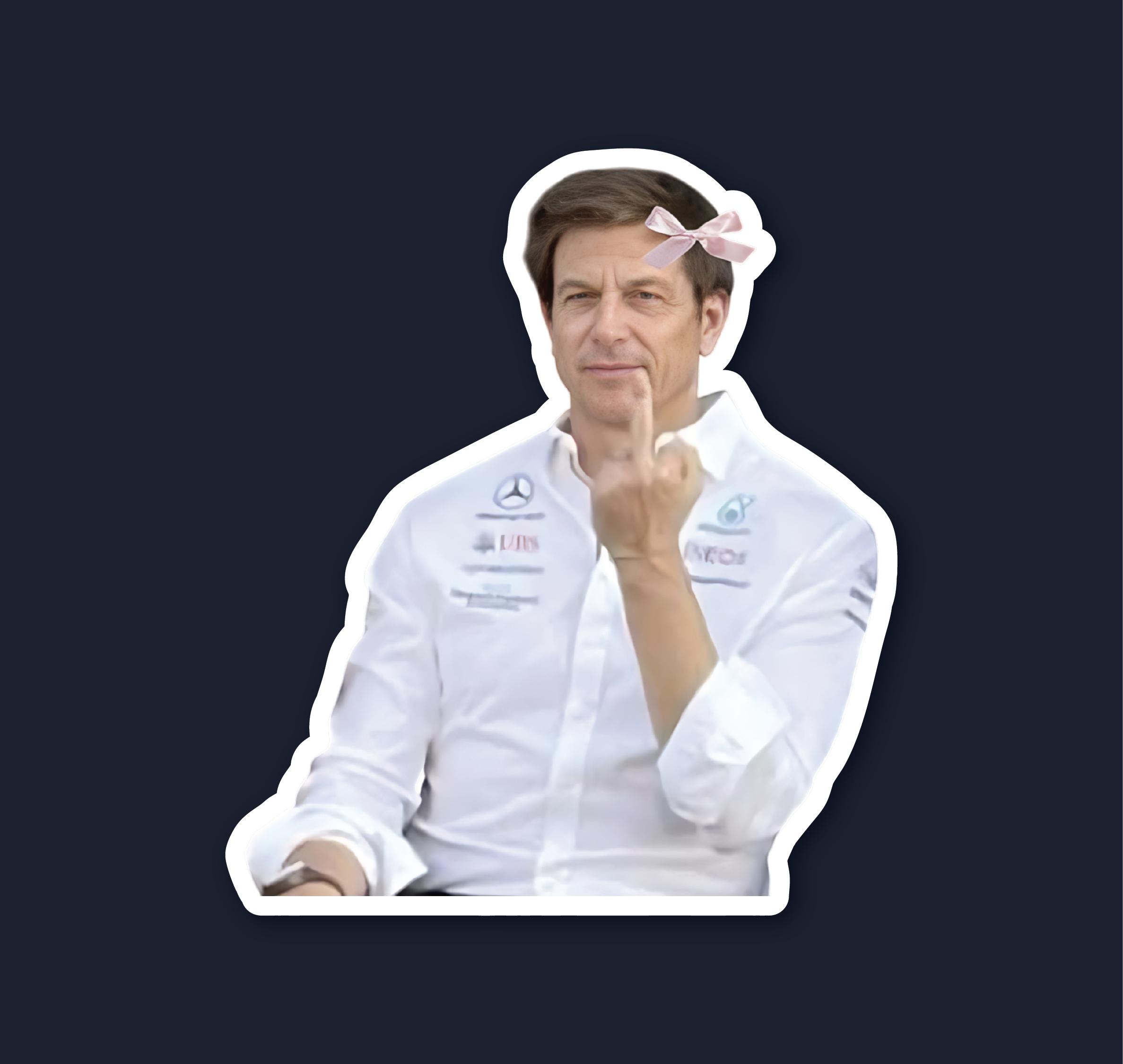 Toto Wolff Funny Meme Sticker Formula One Sticker Cute Sticker for ...