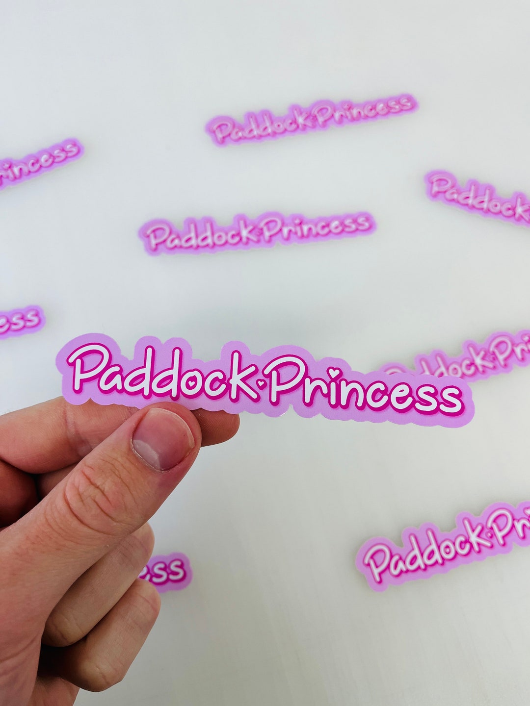 Paddock Princess F1 Sticker GP Racing F1 Sticker Formula One Motorsport ...