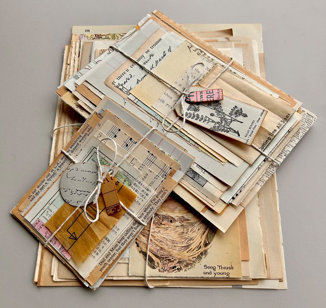 50 Piece Antique & Vintage Book Page and Paper Bundle. Choice of Three ...