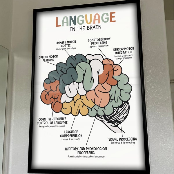 Speech Anatomy Art - Etsy
