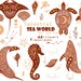Boho Svg, Celestial Svg and Ocean Svg Sea Turtle Svg, Narwhal Clipart ...