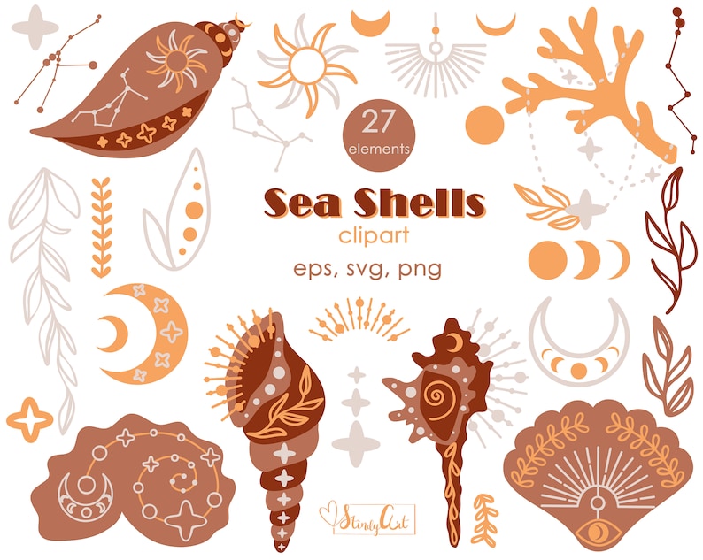 Boho Svg With Sea Shell Svg, Ocean Svg, Boho Elements Clipart ...