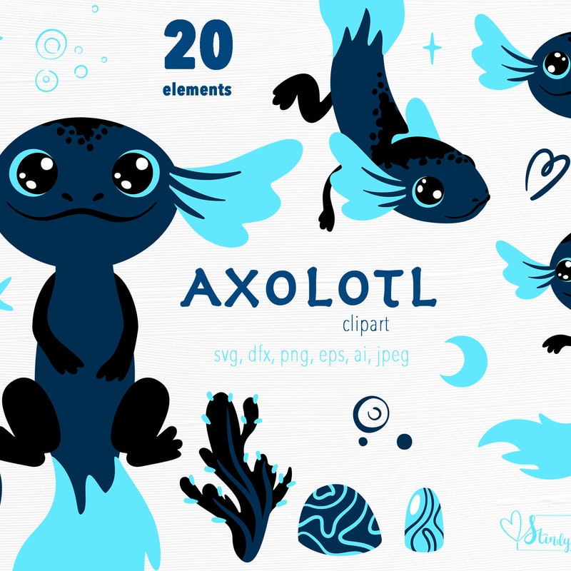 Axolotl Svg - Etsy