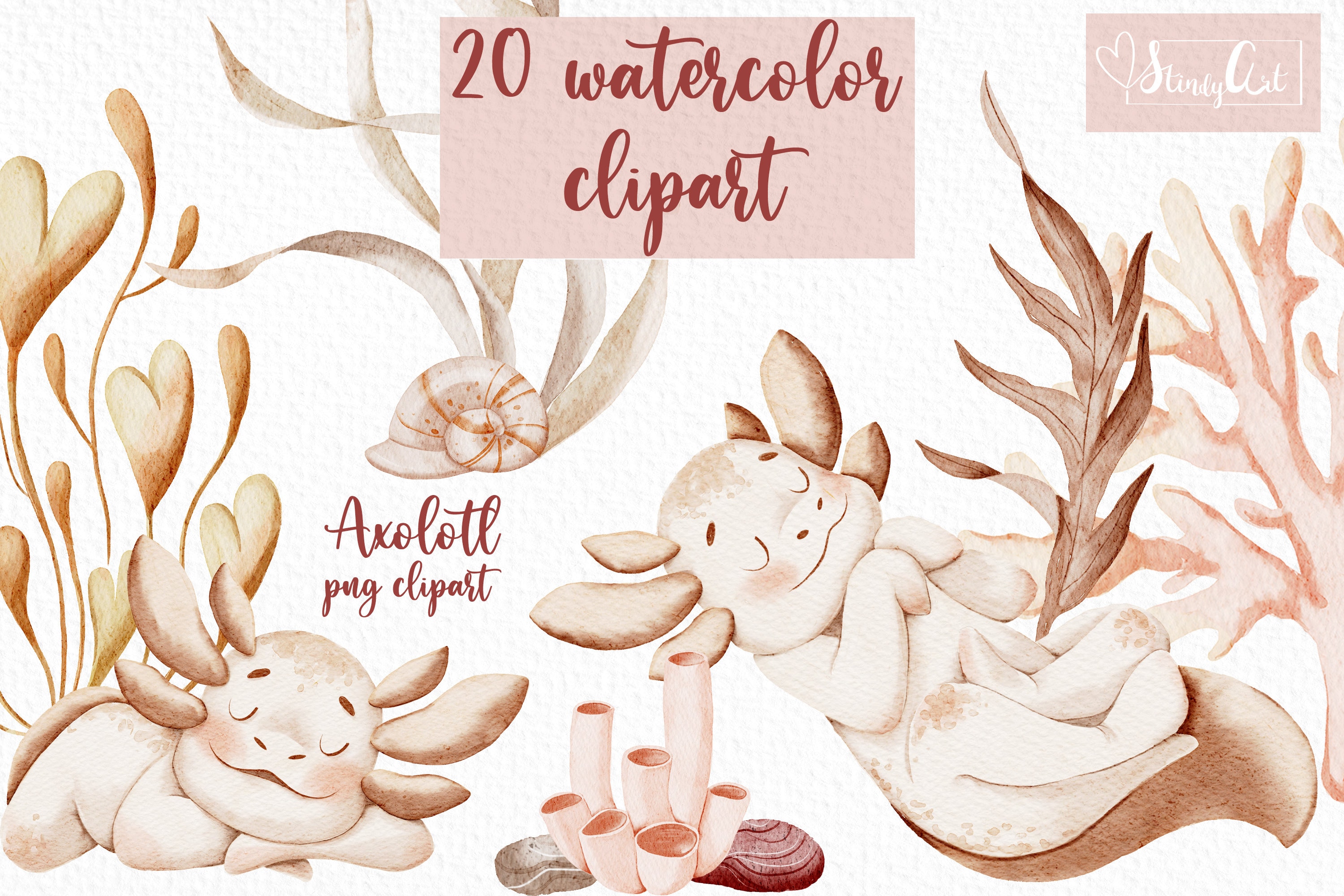 Watercolour Axolotl Png Nursery Beige Axolotl Clipart With - Etsy
