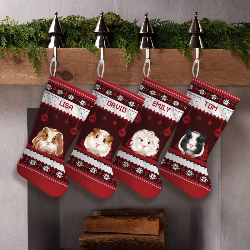 Guinea Pigs Personalised - Etsy