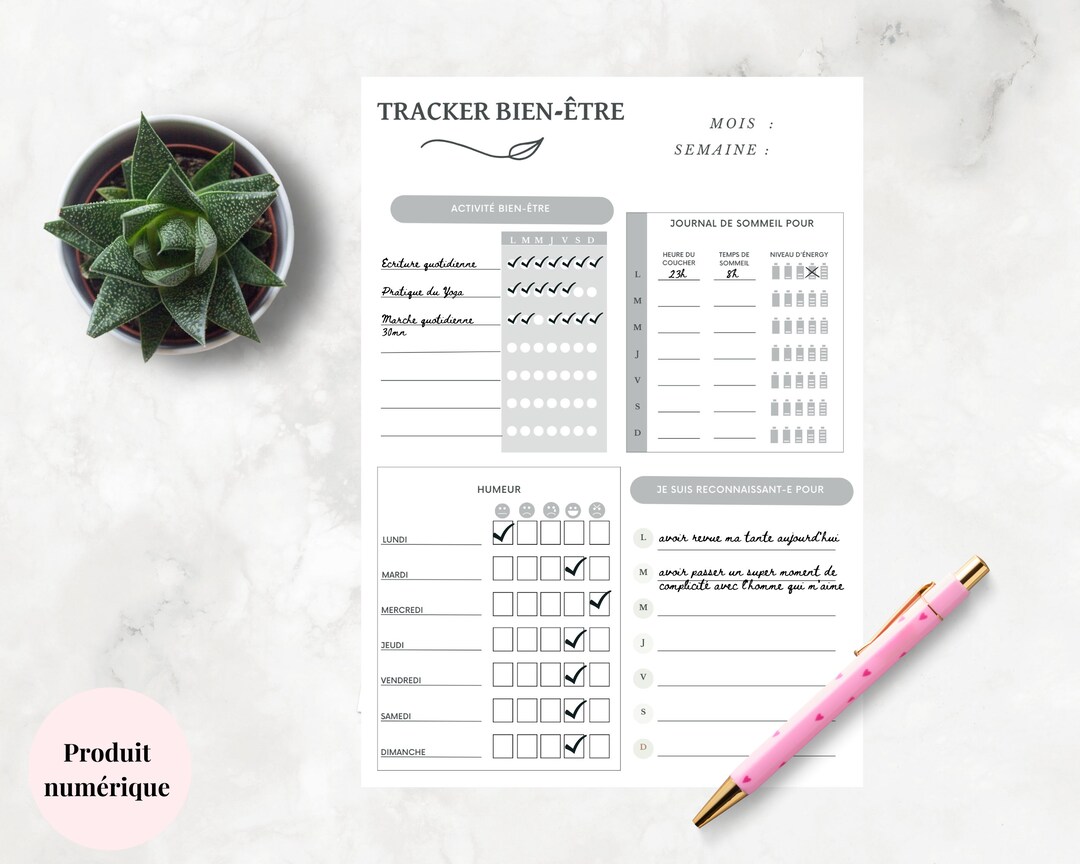 Printable Gray Tone Wellness Checklist, Wellness Tracker, Sleep, Mood ...
