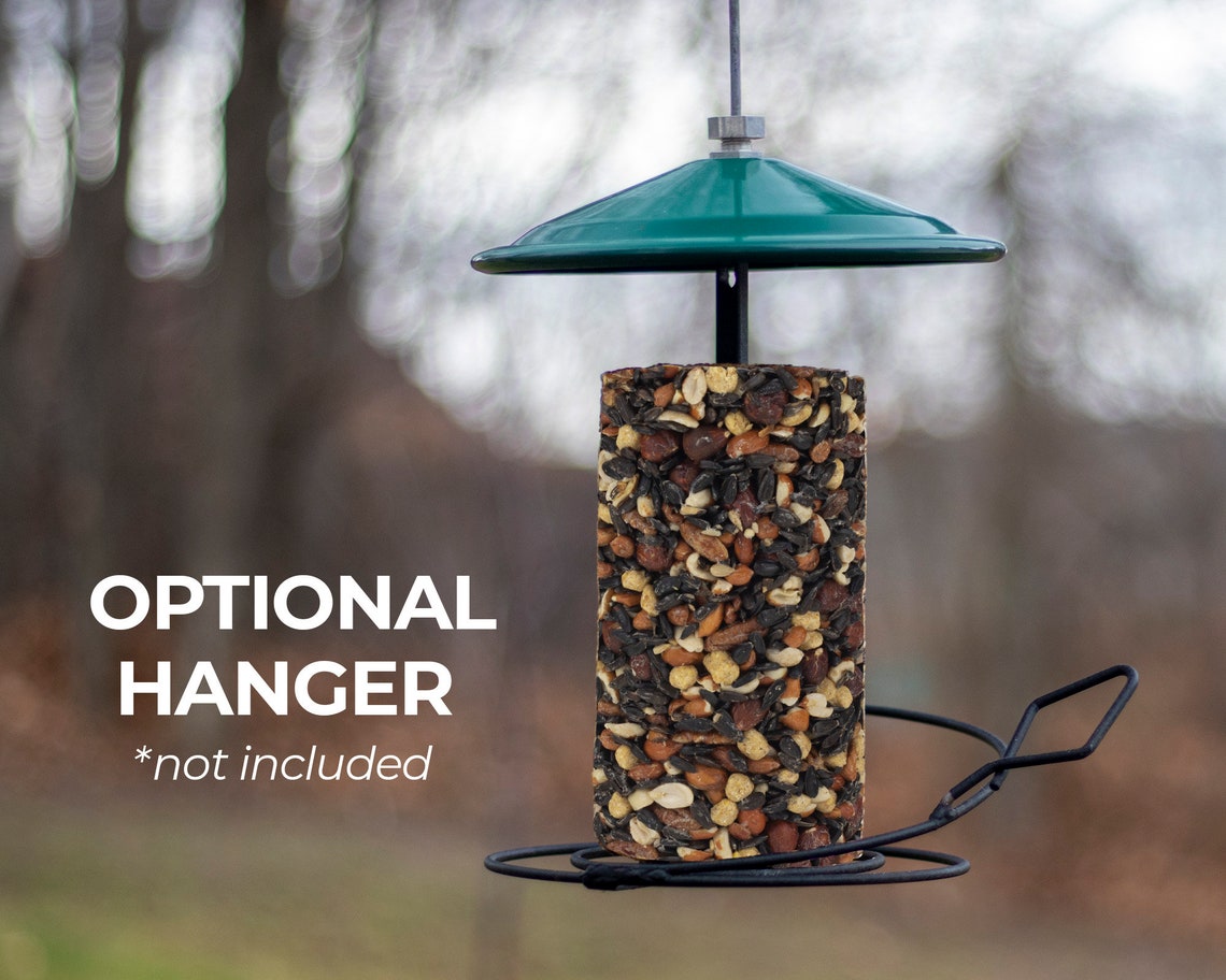 Woodpecker Hanging Cylinder Log Wild Bird Seed Feeder - Etsy
