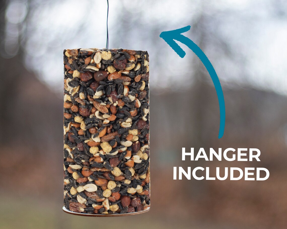 Woodpecker Hanging Cylinder Log Wild Bird Seed Feeder - Etsy