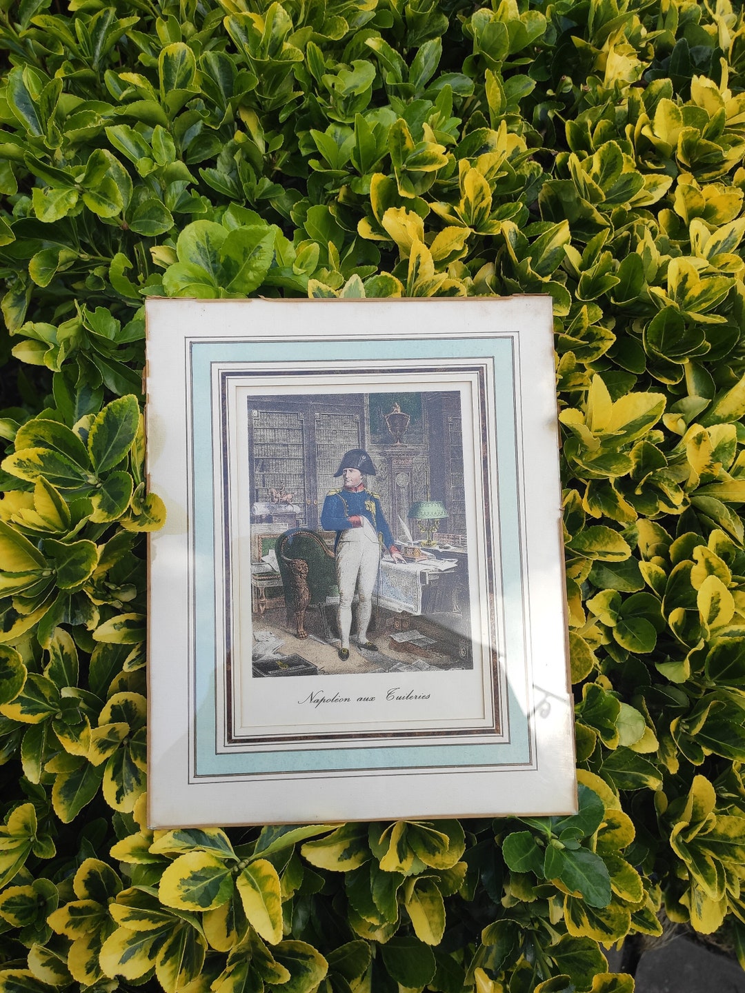 Antique Colored Engraving of Napoleon in Tuileries - Etsy