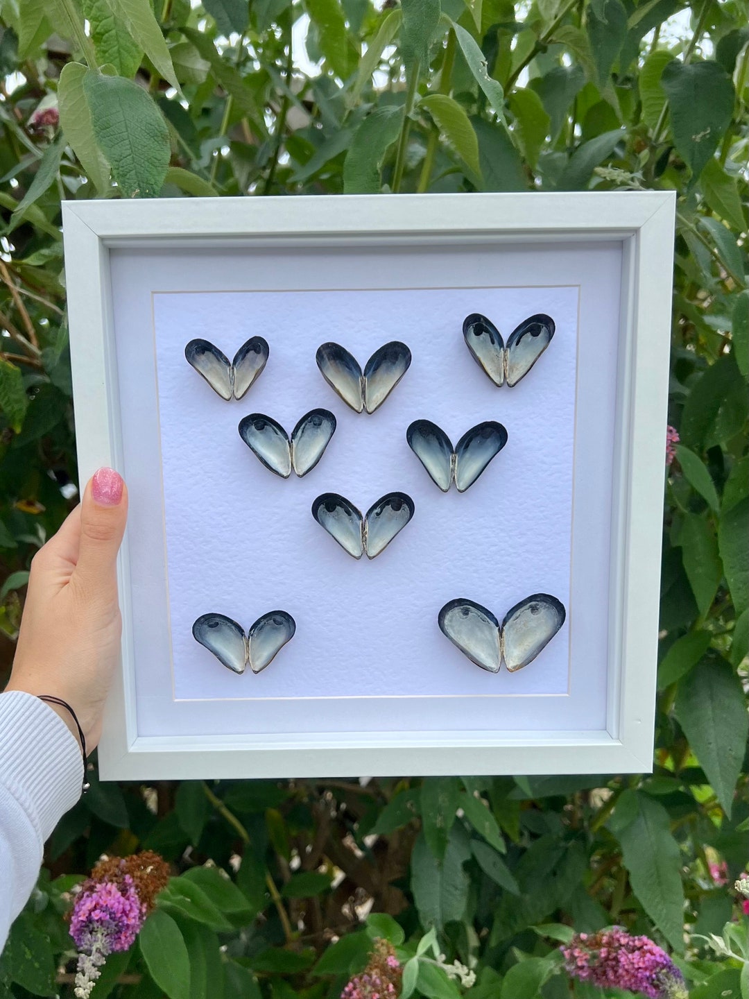 Butterfly Mussel Shell Art Coastal Decor. Shadow Box Frame. - Etsy