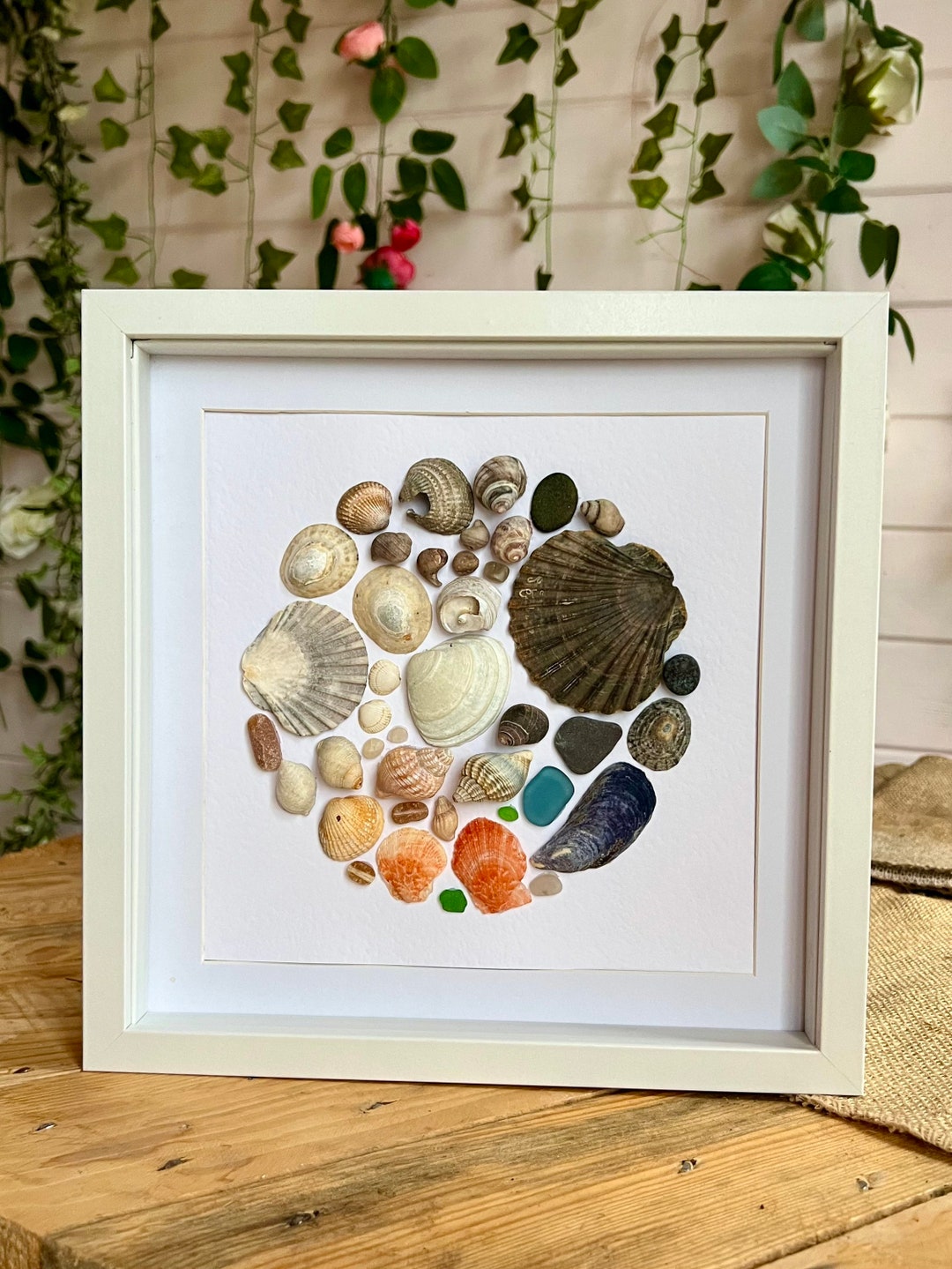 Circle Shell Art. Coastal Shell Art. Shadow Box Frame. - Etsy