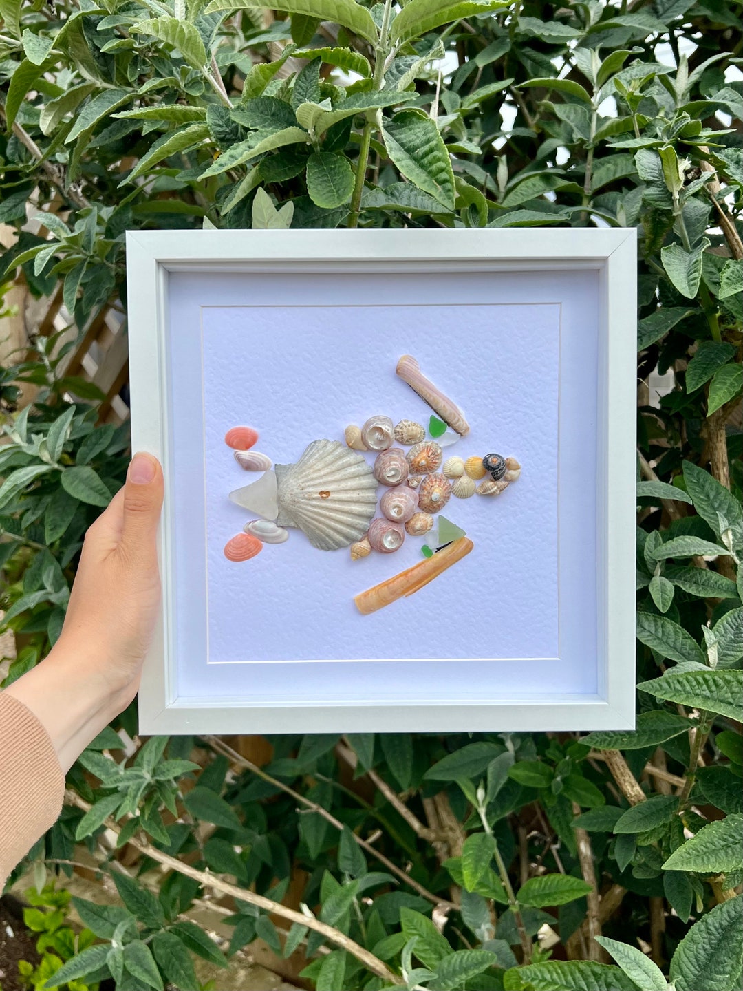 Sea Turtle. Shell Art. Coastal Decor. - Etsy