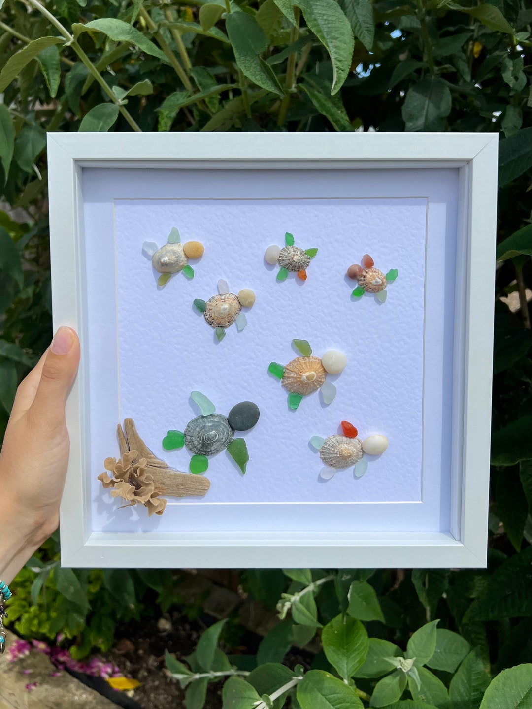 Sea Turtle Shell Art. Coastal Decor. Shadow Box Frame. - Etsy