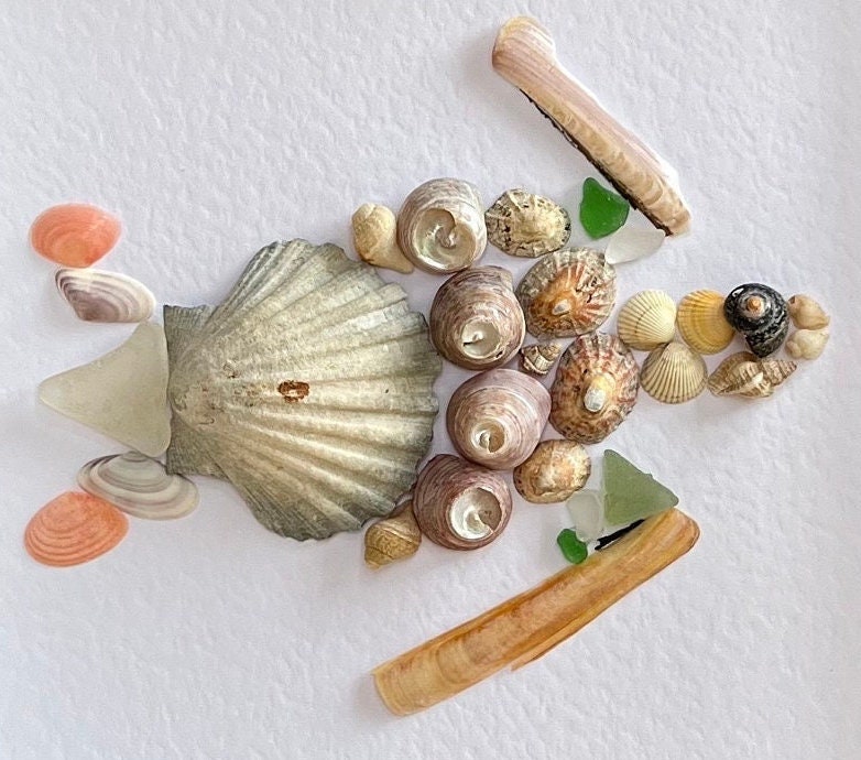 Sea Turtle. Shell Art. Coastal Decor. - Etsy