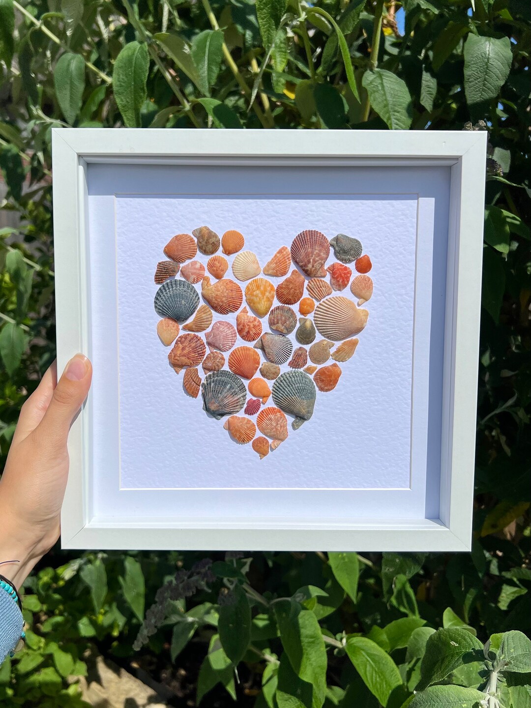 Heart Shell Art, Coastal Decor. Shadow Box Frame. Scallop Shell. Beach ...