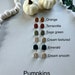 FALL COLLECTION Stud Packs-build Your Own - Etsy