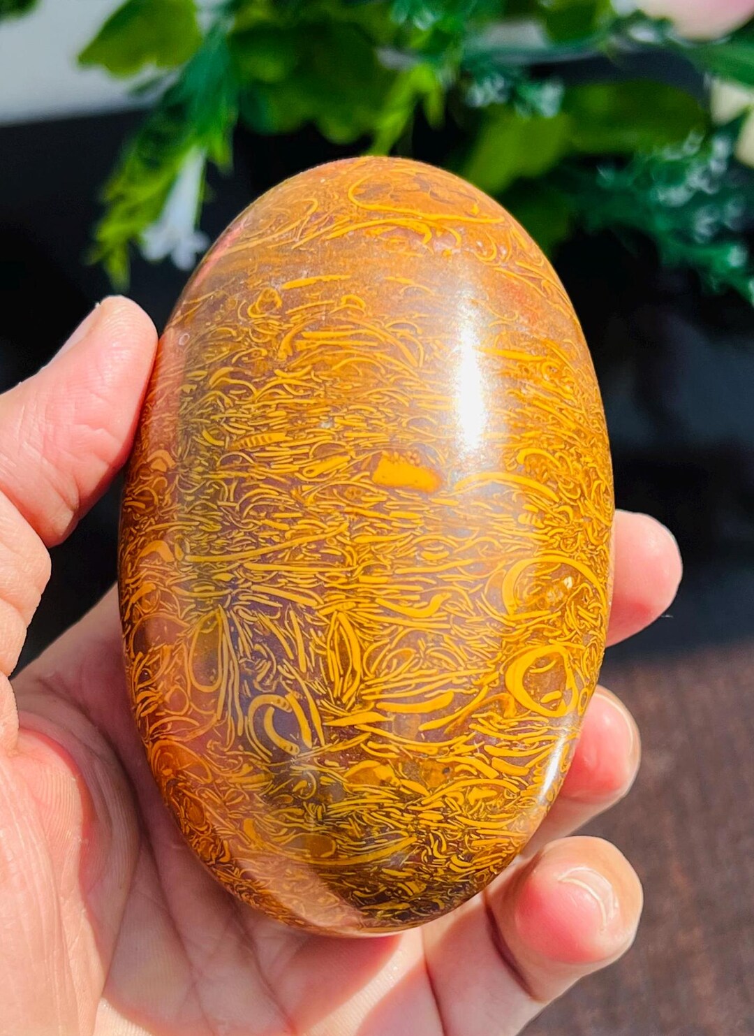 Mariam Jasper Lingam: Calligraphy Jasper Power Stone, 95MM - Etsy