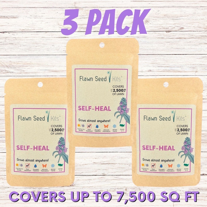 Flawn Seed Self-heal heal-all Flowering Lawn Seed Easy to Use, Kid, Pet ...