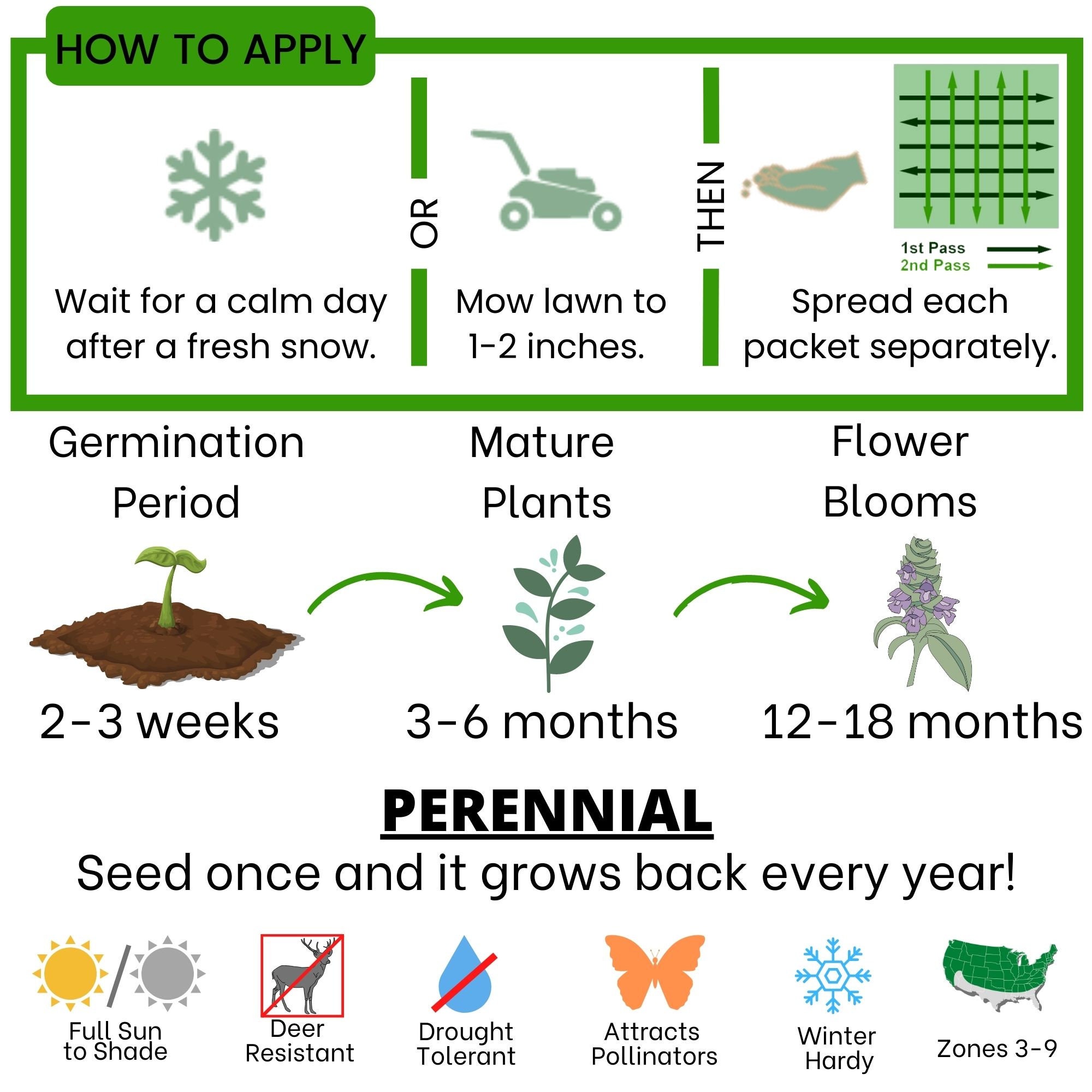 Flawn Seed Self-heal heal-all Flowering Lawn Seed - Etsy
