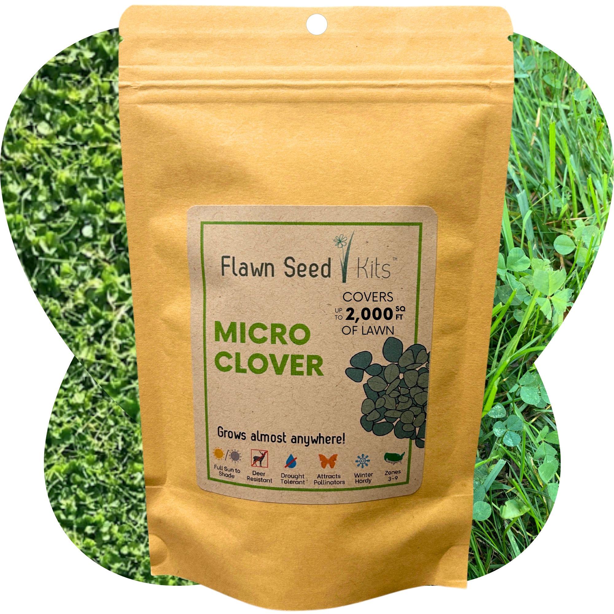 Micro Clover Lawn Seed: Eco-friendly, Pollinator-friendly Grass ...