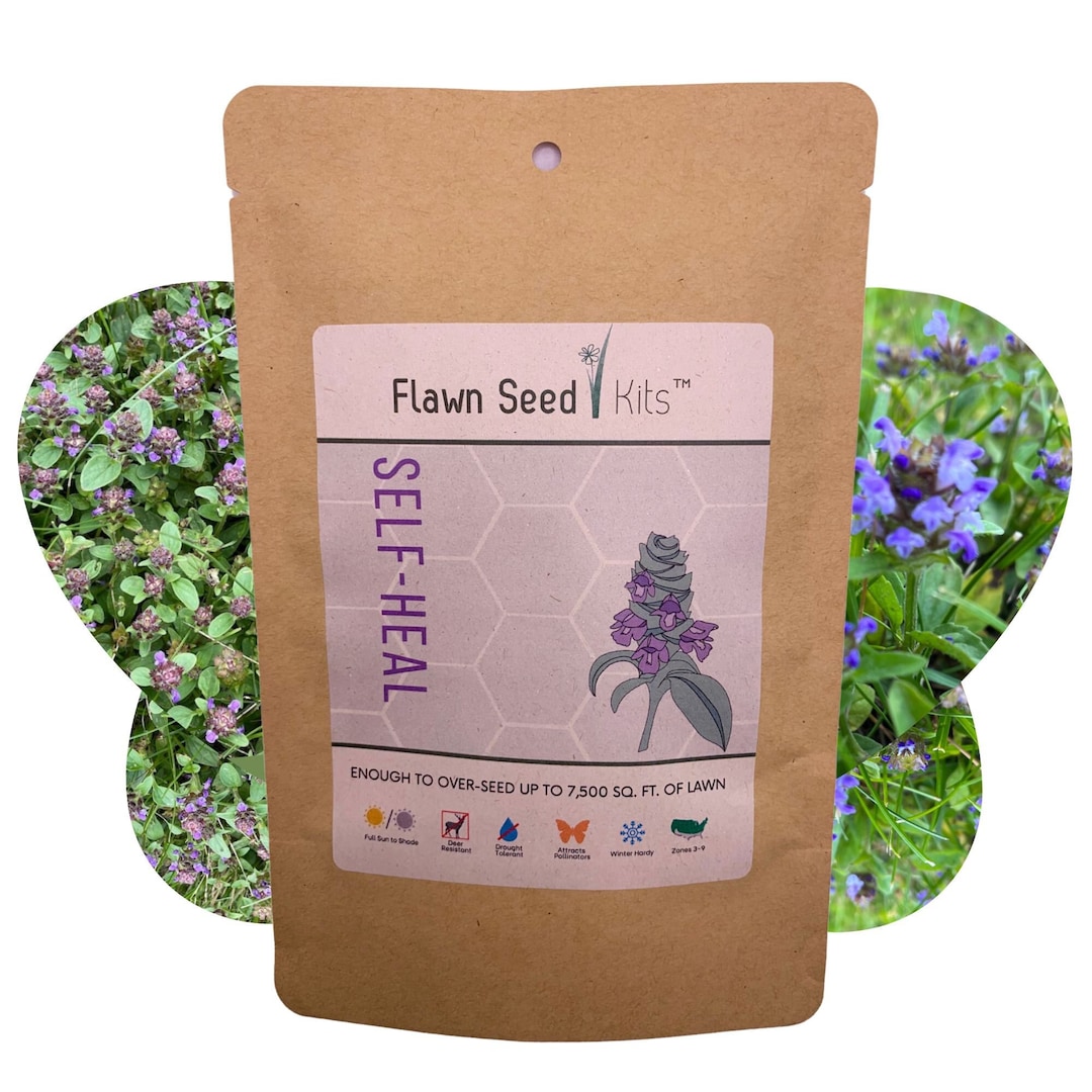 Flawn Seed Self-heal heal-all Flowering Lawn Seed - Etsy
