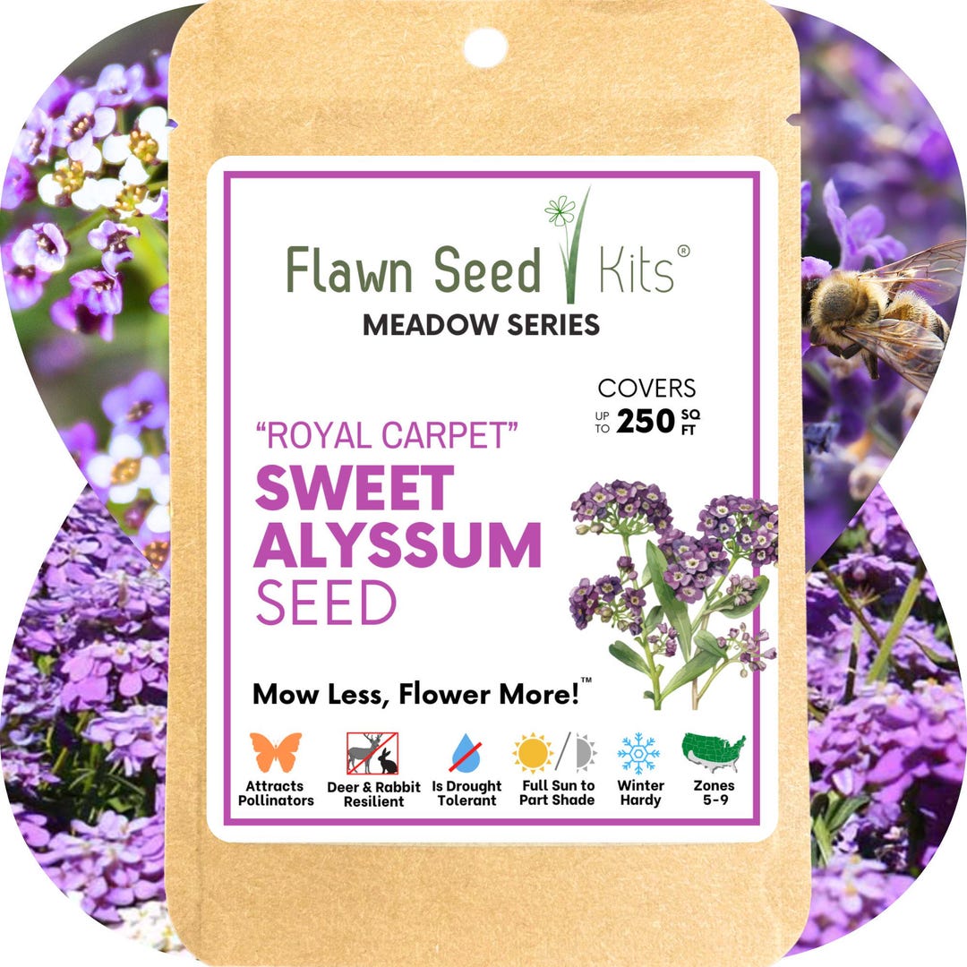 Sweet Alyssum 'royal Carpet' Flawn Seed Pouch, Pollinator-friendly ...