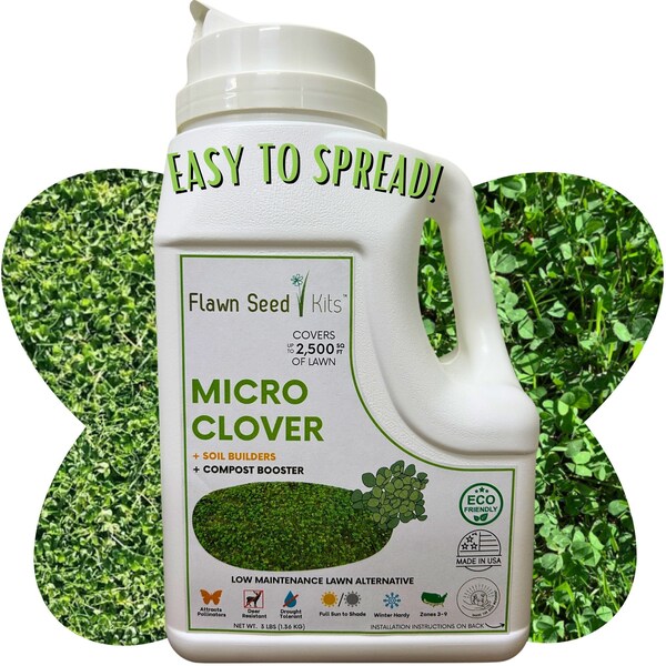 Micro Clover Seeds - Etsy