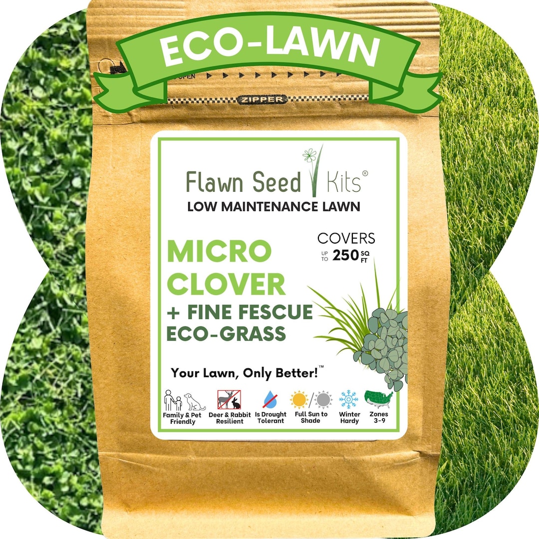 Micro Clover Lawn Seed Mix: Mow Less Fine Fescue, Non-gmo Organic - Etsy