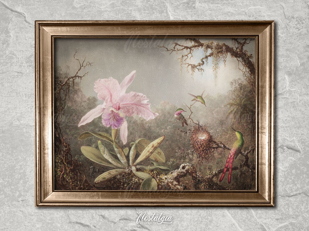 Orchid Oil Painting Vintage Orchid Print Rustic Wall Decor Birds ...