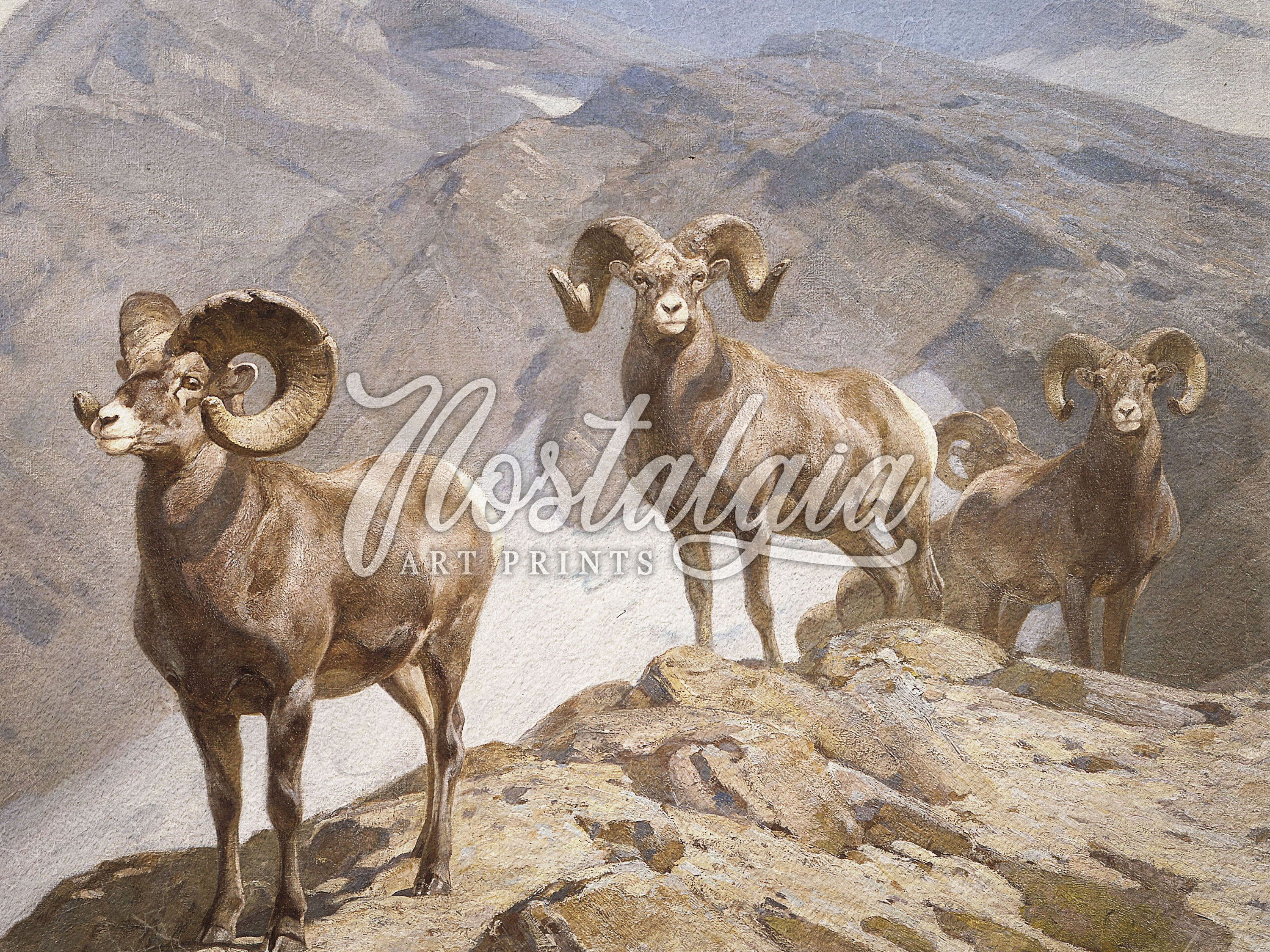 Big Horn Sheep Painting Animal Print Vintage Oil Painting Printable Art ...