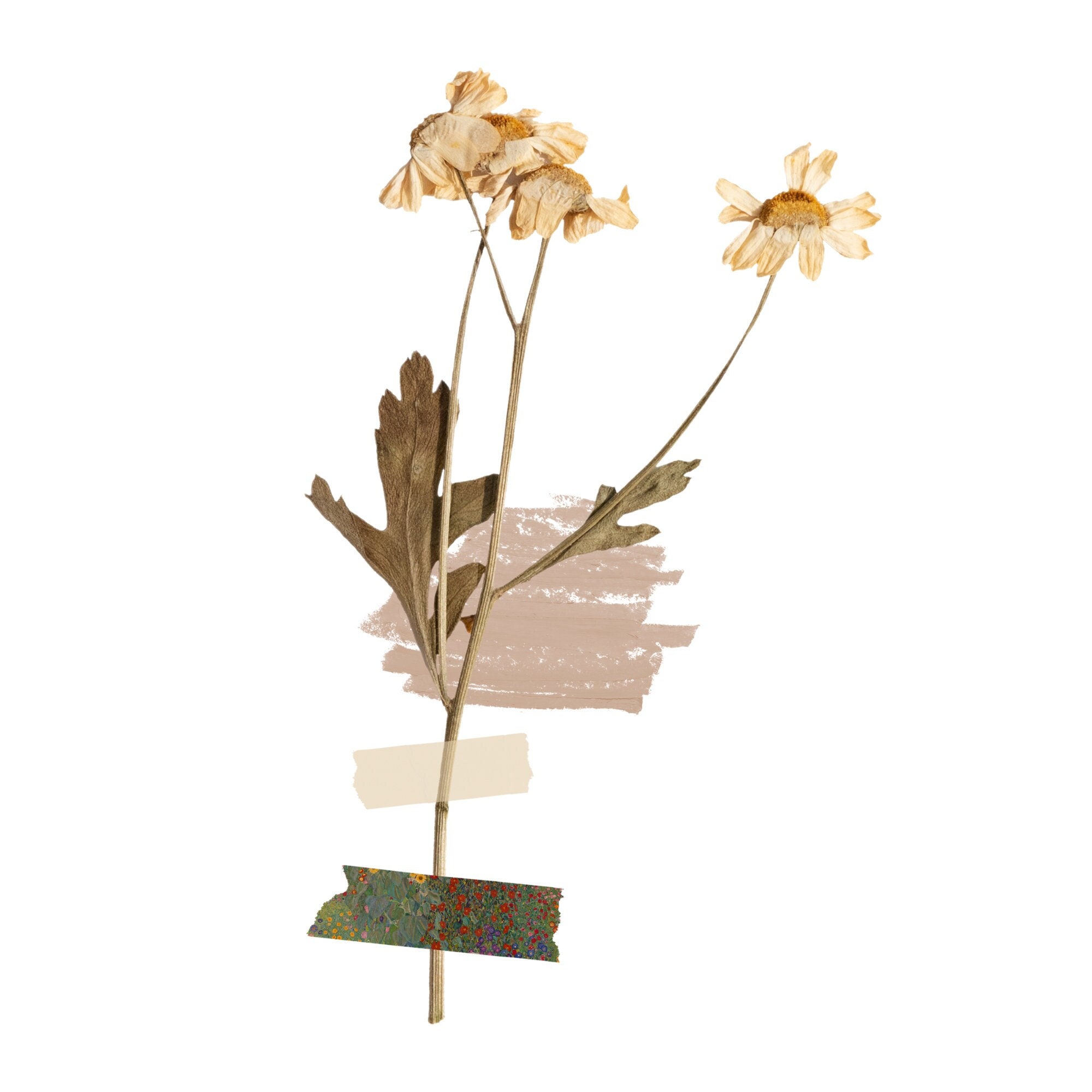 Boho Daisy Flower| Boho Minimalist Poster Printable| Boho Wall Decor ...