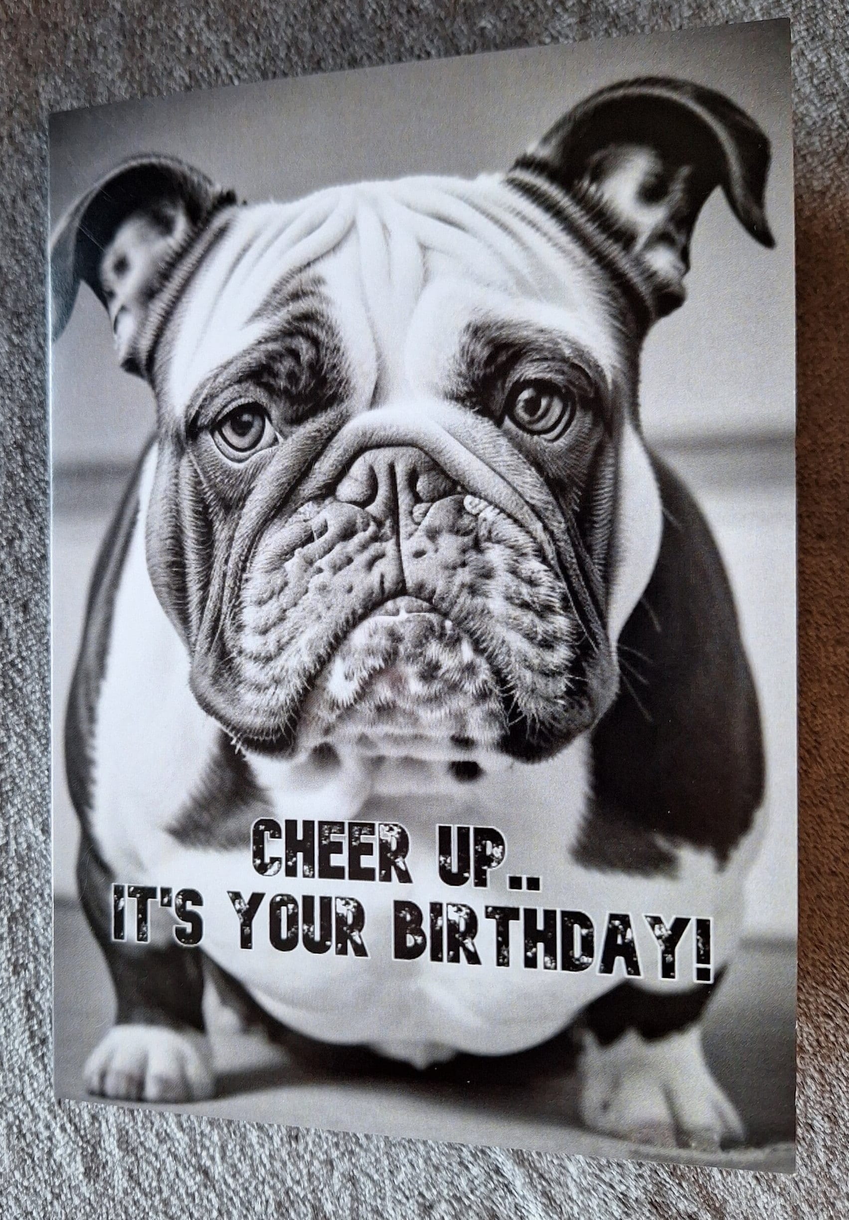 Bulldog Happy Birthday Blank Greeting Card - Etsy