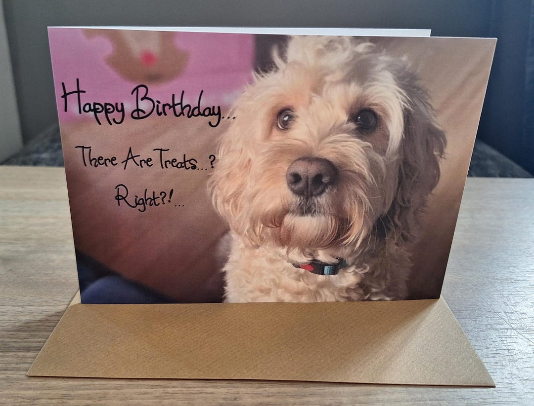 Cockapoo Happy Birthday Greeting Card - Etsy UK