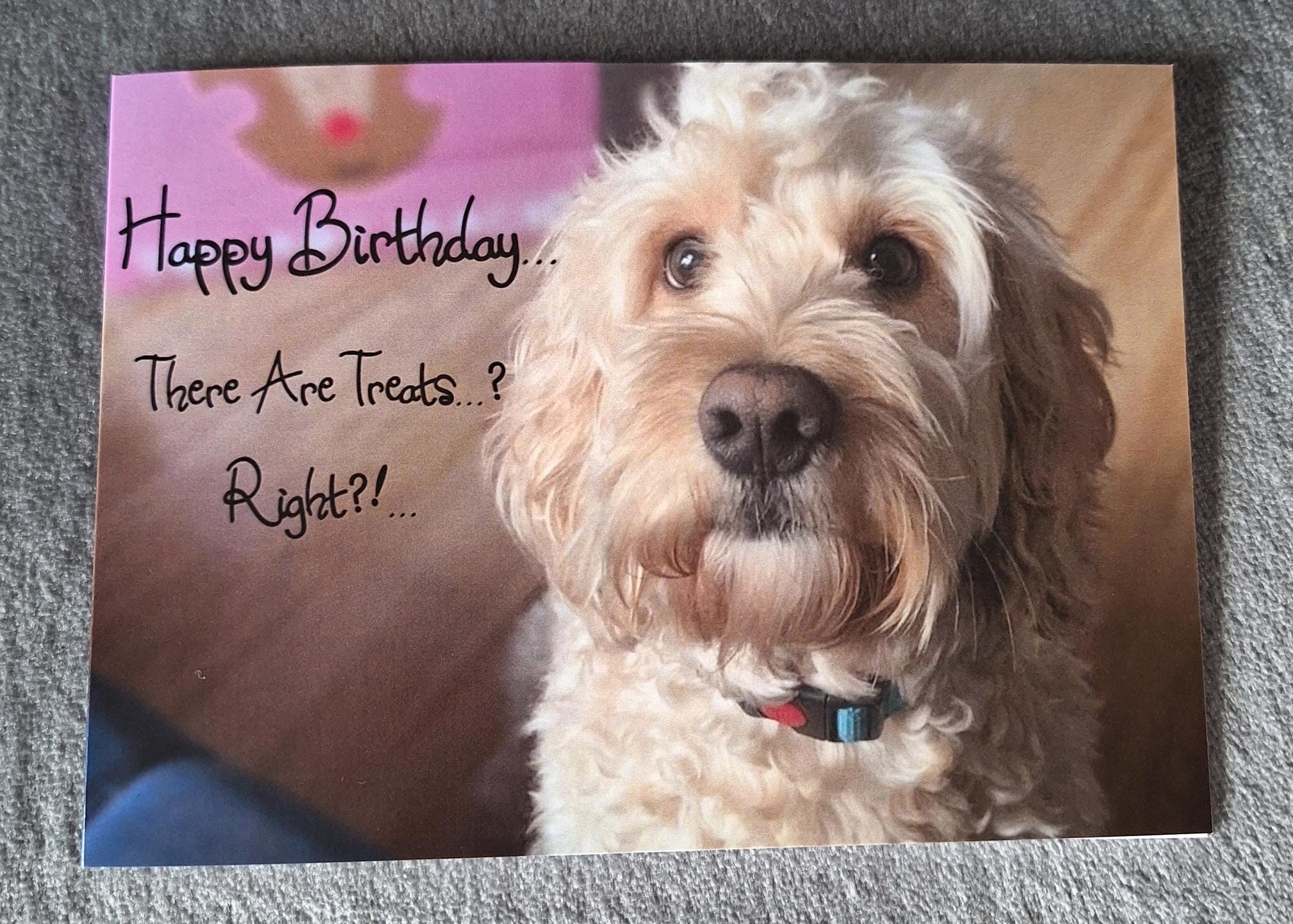 Cockapoo Happy Birthday Greeting Card - Etsy UK