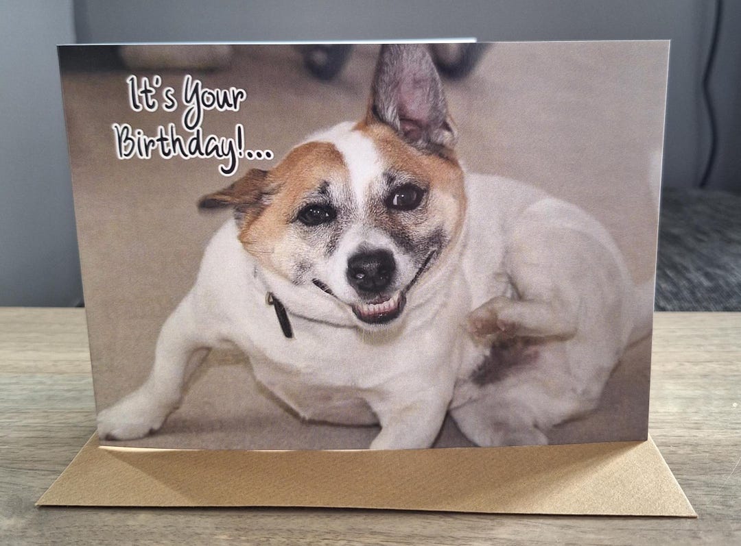 Jack Russell Terrier Birthday Greeting Card - Etsy