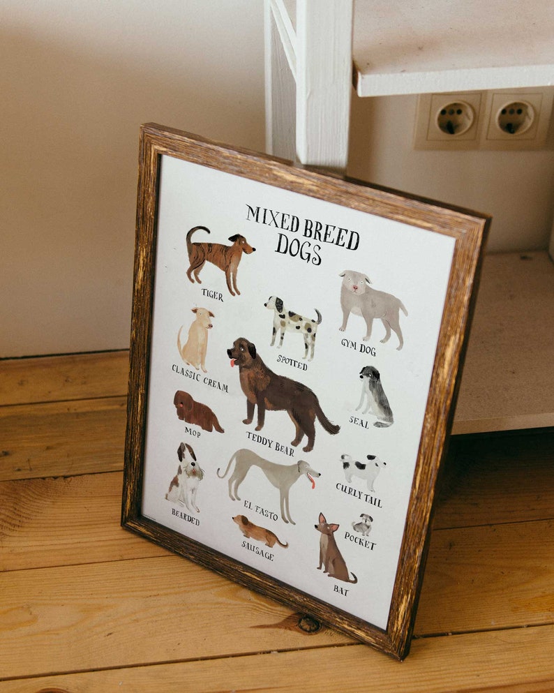 Illustrated Mixed Breed Dogs Chart A4 Funny and Cute - Etsy