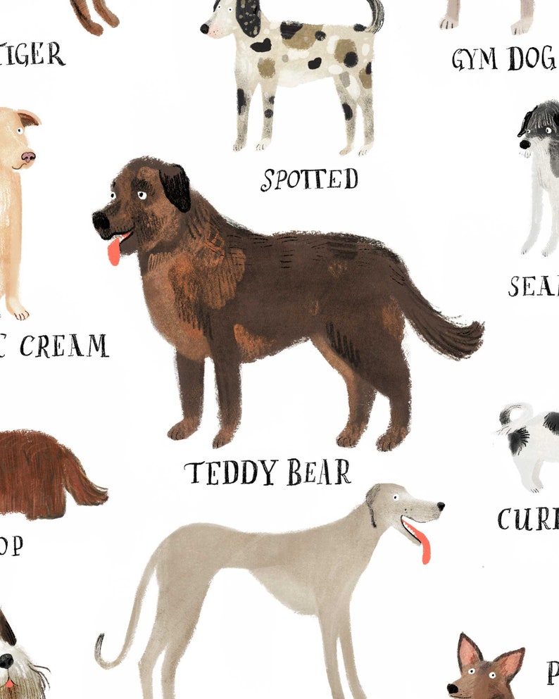 Illustrated Mixed Breed Dogs Chart A4 Funny and Cute - Etsy