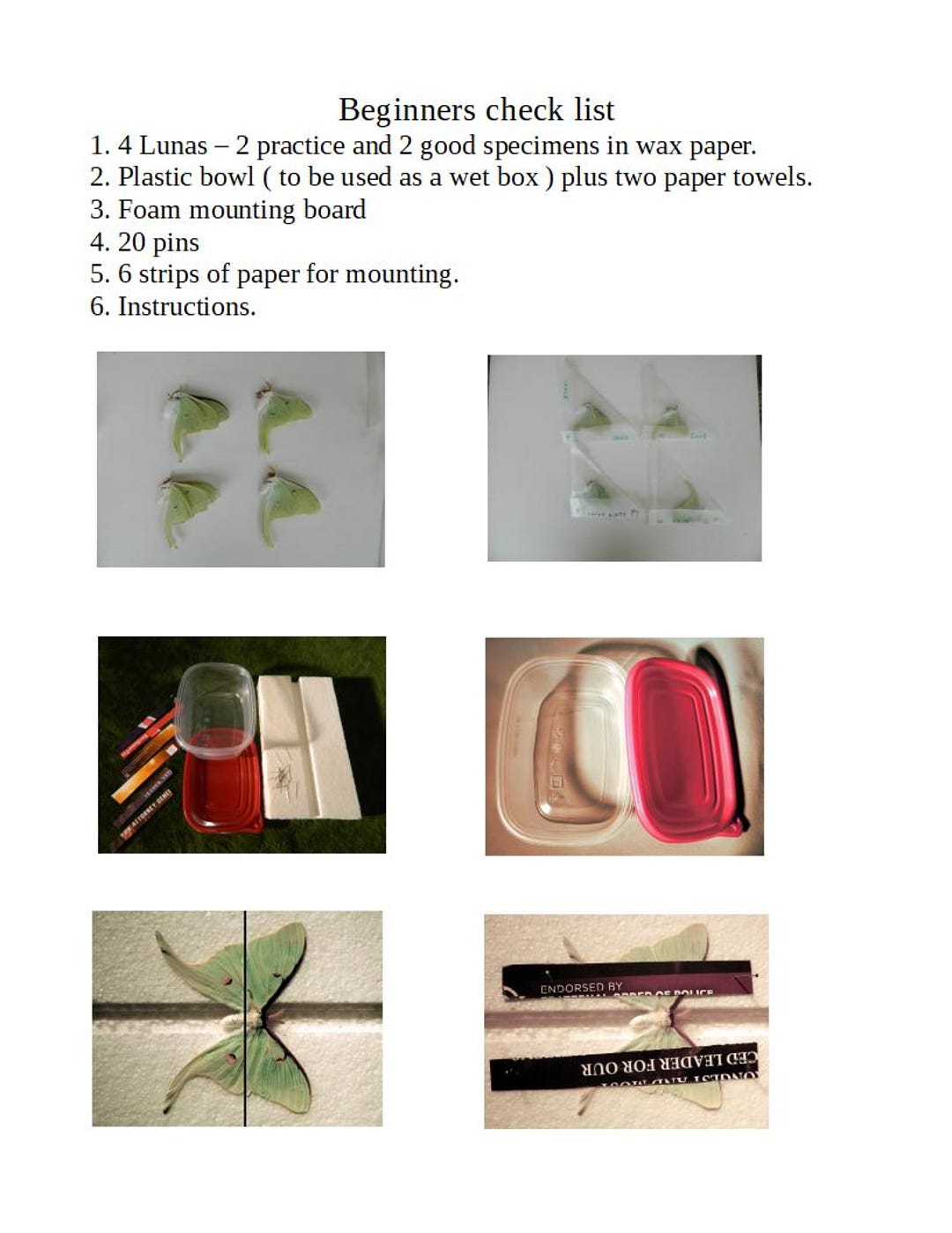 DYI Lunas Moth Mounting Starter Kit A Specimens Unmounted Folded in Wax ...