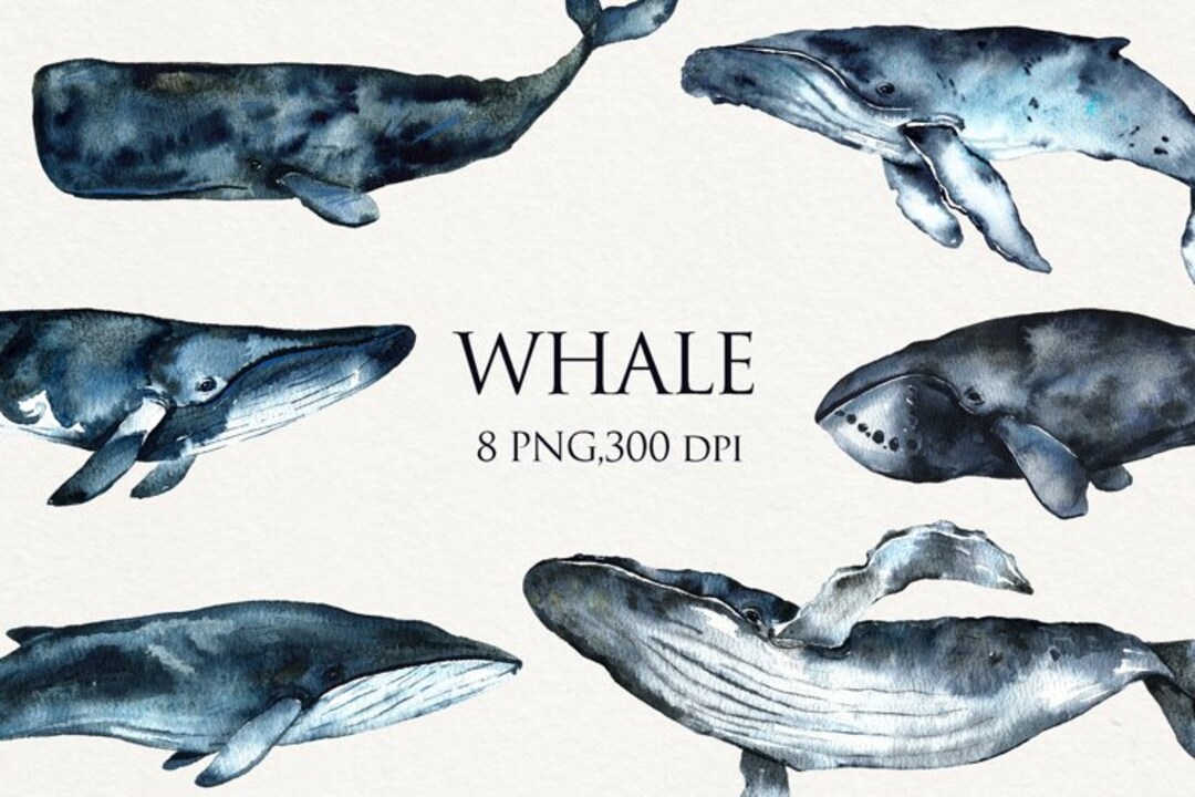 Watercolor Ocean Blue Whale Animals Clipart Png Digital - Etsy