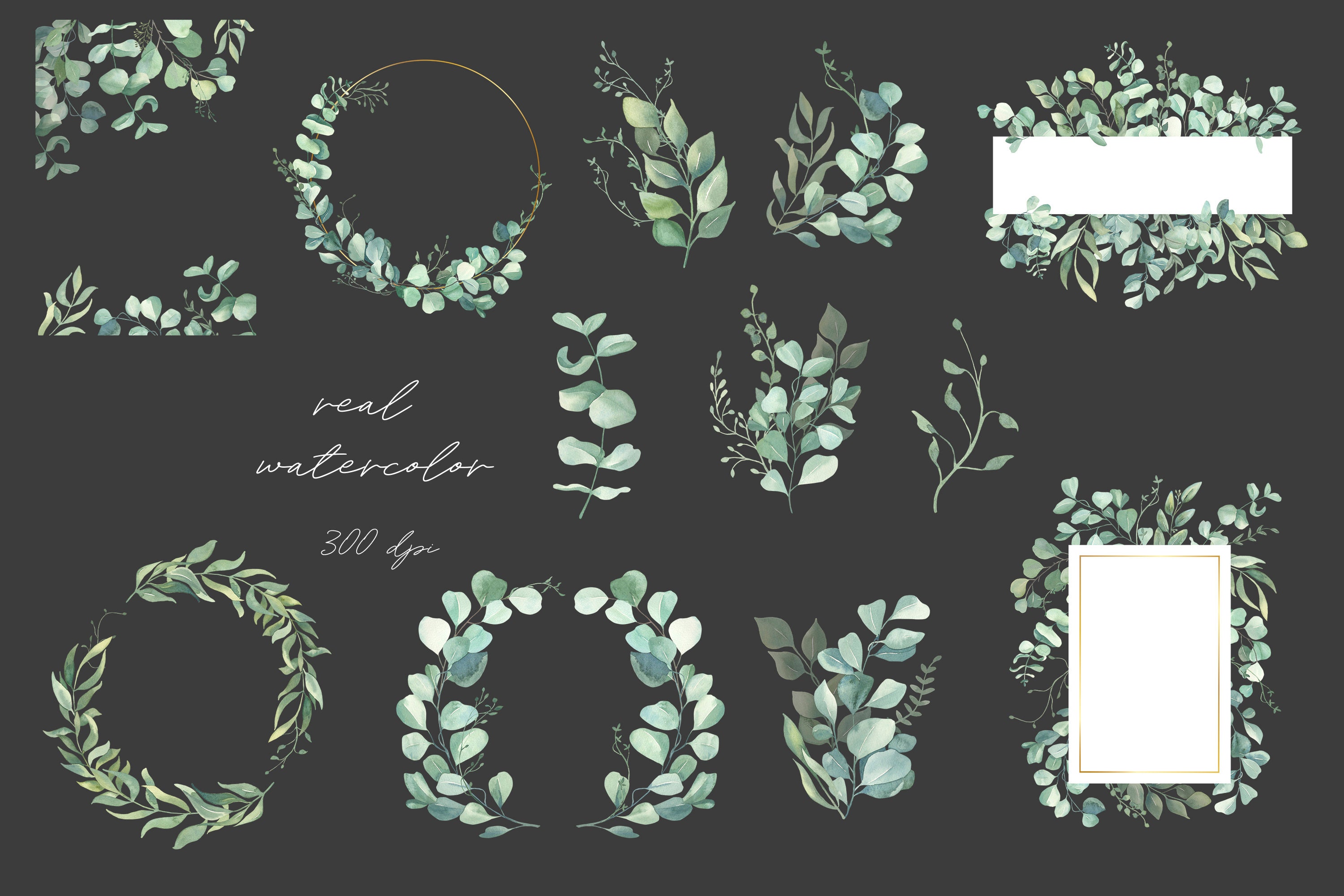 Watercolor Eucalyptus Frames, Greenery Wreath, Leaves Wreath Clipart ...