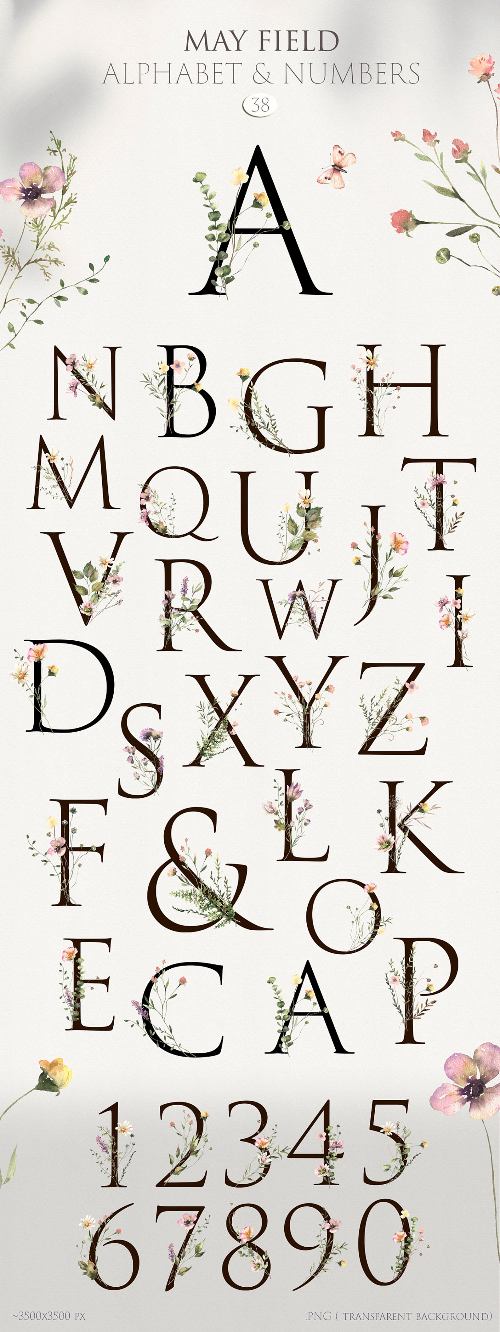 Wildflower Letters and Numbers, Watercolor Floral Alphabet, Alphabet ...