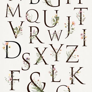 Wildflower Letters and Numbers, Watercolor Floral Alphabet, Alphabet ...