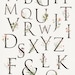 Wildflower Letters and Numbers, Watercolor Floral Alphabet, Alphabet ...