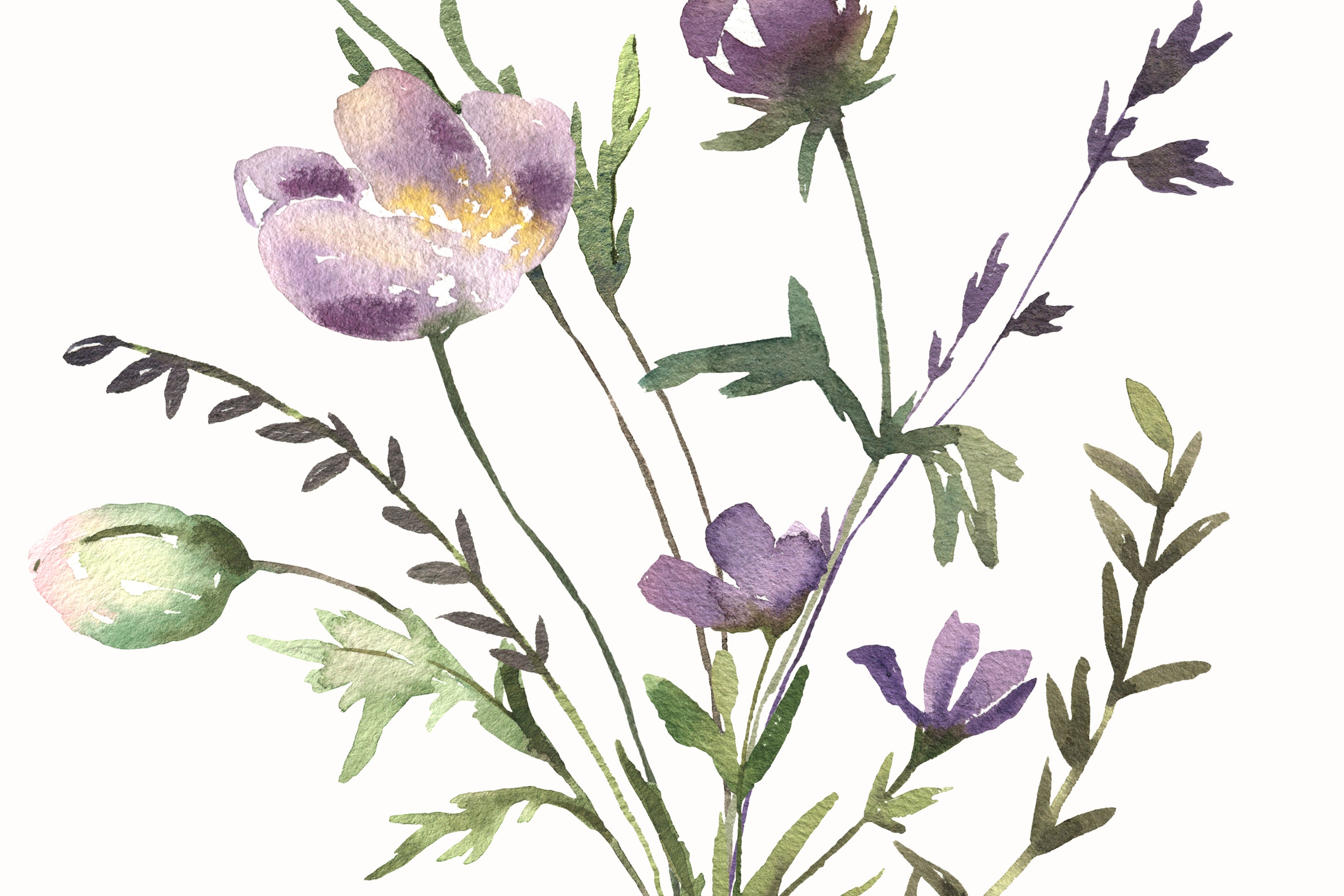 Wild Flowers Floral Watercolor Clipart, Field Flowers Clipart ...