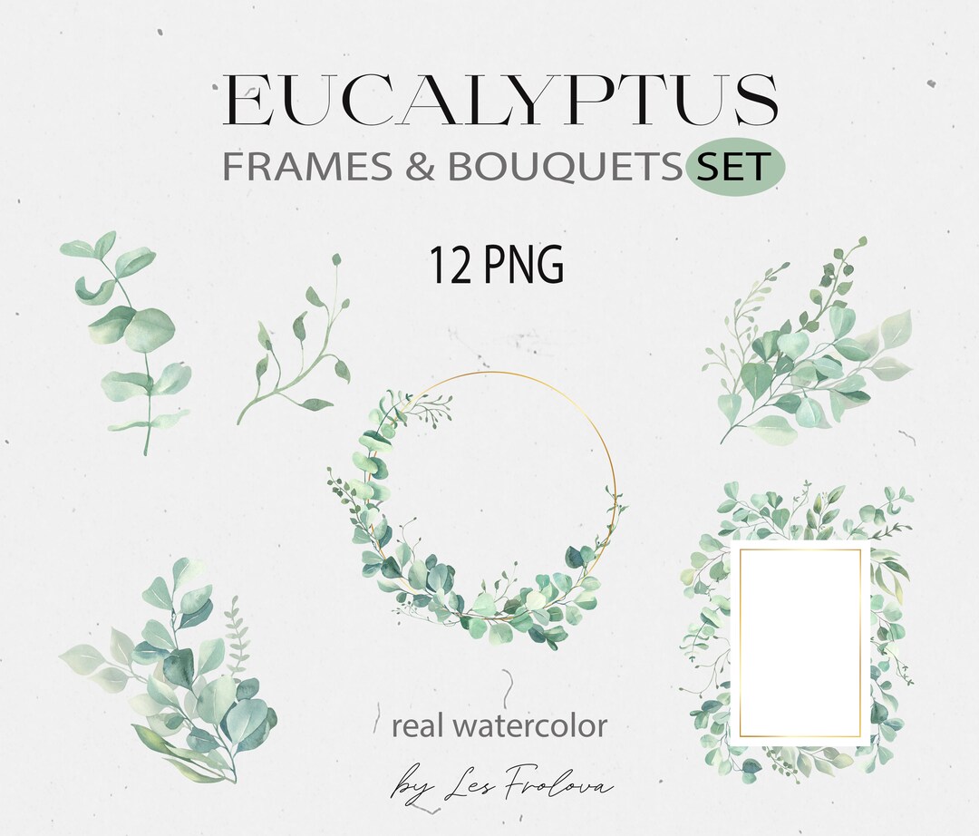 Watercolor Eucalyptus Frames, Greenery Wreath, Leaves Wreath Clipart ...