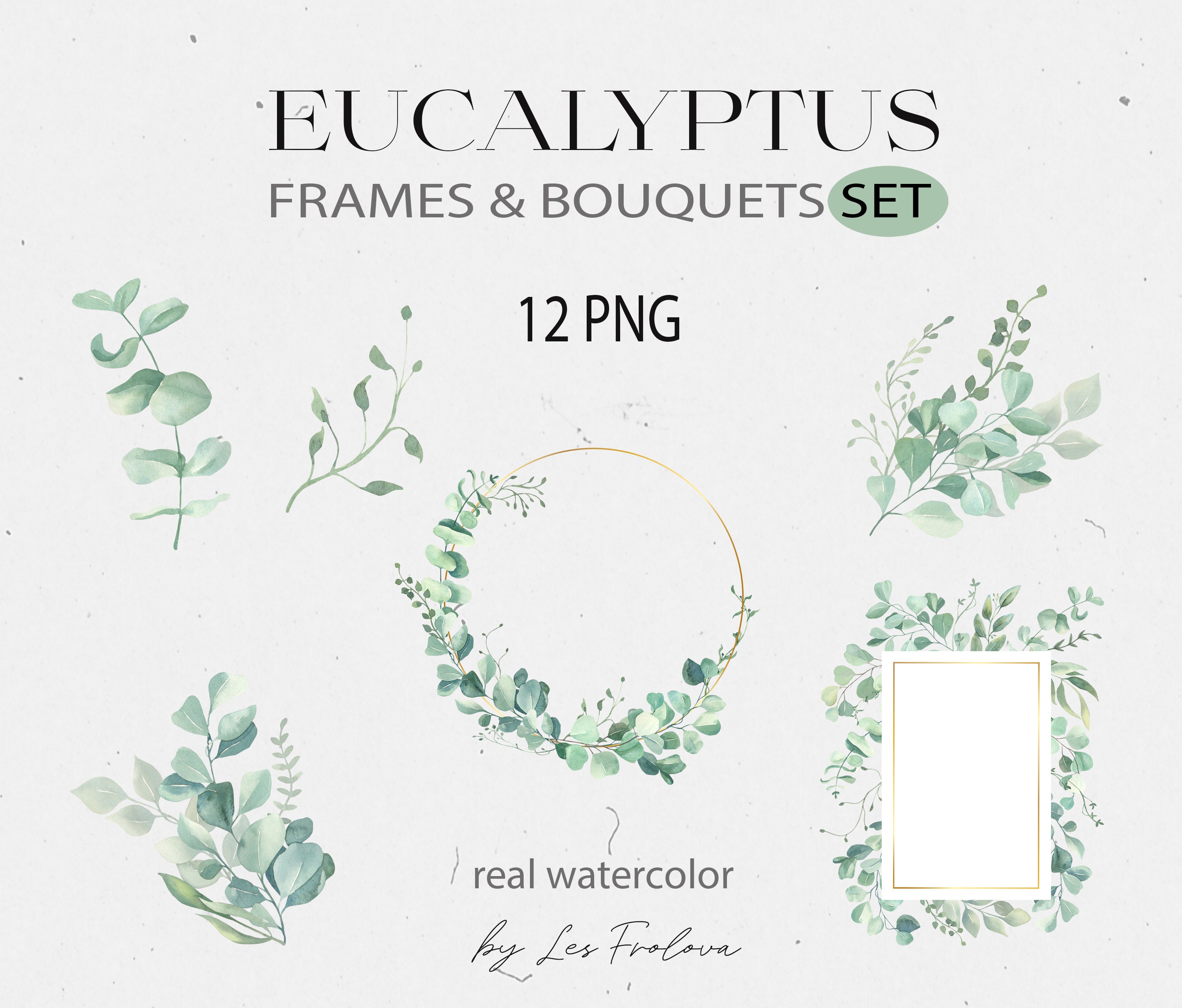 Watercolor Eucalyptus Frames, Greenery Wreath, Leaves Wreath Clipart ...